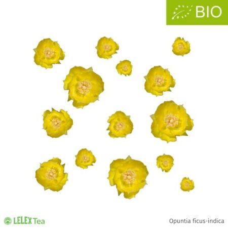 Prickly flowers 20 gr – Lelex Tea